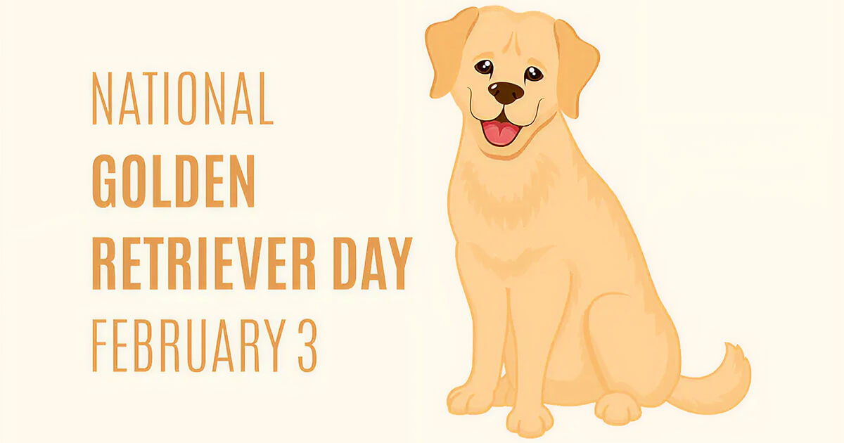 National Golden Retriever Day 2026: Date, History & Celebration Ideas