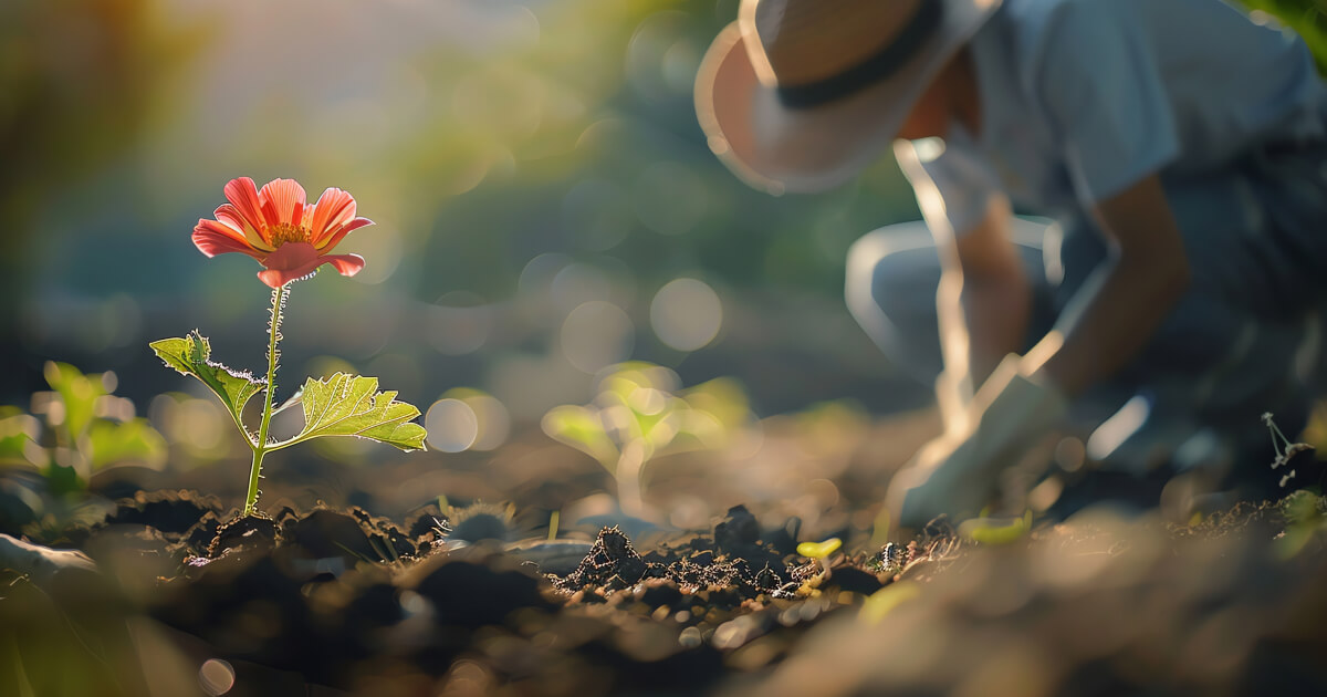 National Plant A Flower Day 2026 (March 12): Meaning, Celebration, Tips ...