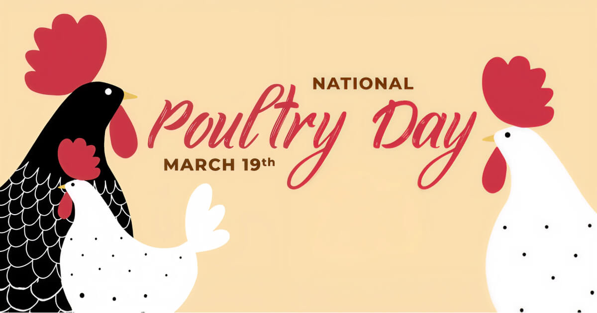 National Poultry Day 2026: Date, Meaning, Wishes, Quotes & Celebration ...
