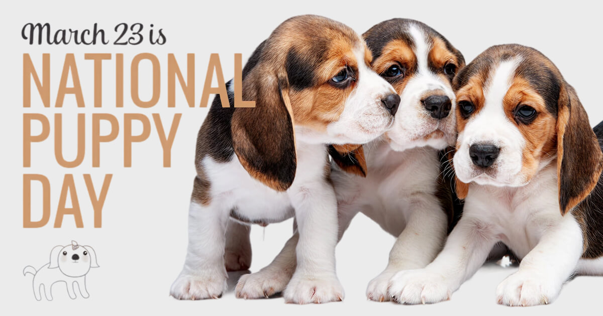 National Puppy Day 2026: Date, History, Facts, Activities & Posters