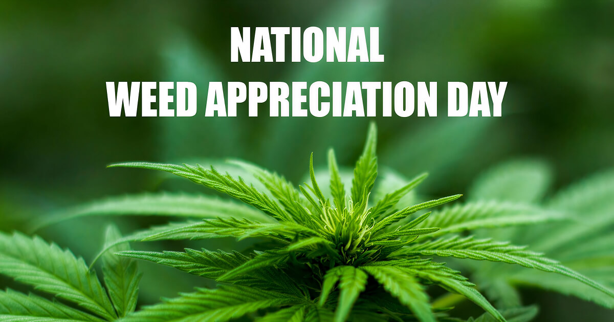 National Weed Appreciation Day 2026: Date, Meaning, Benefits & Facts