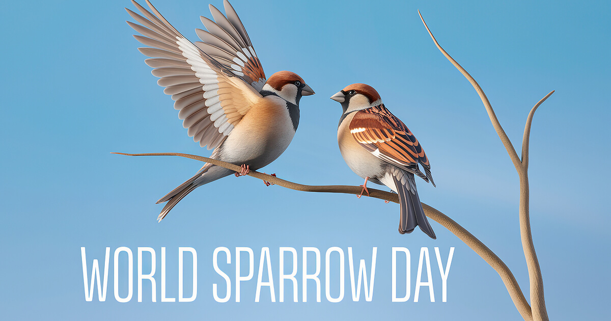 World Sparrow Day 2026 (March 20): History, Theme, Importance, Wishes ...