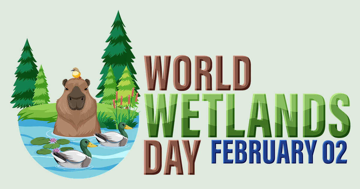 World Wetlands Day 2026: Date, Theme, Importance & How to Protect Wetlands